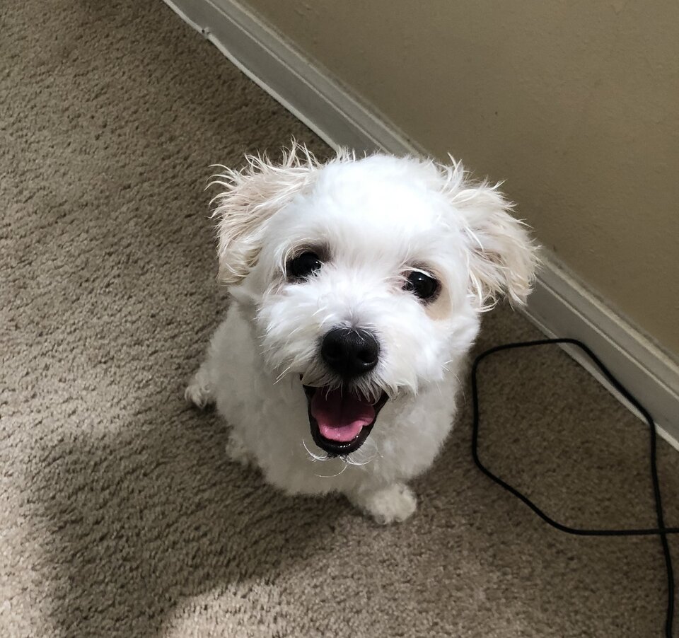 Members | Saet-Byul Kim Lab | Nebraska